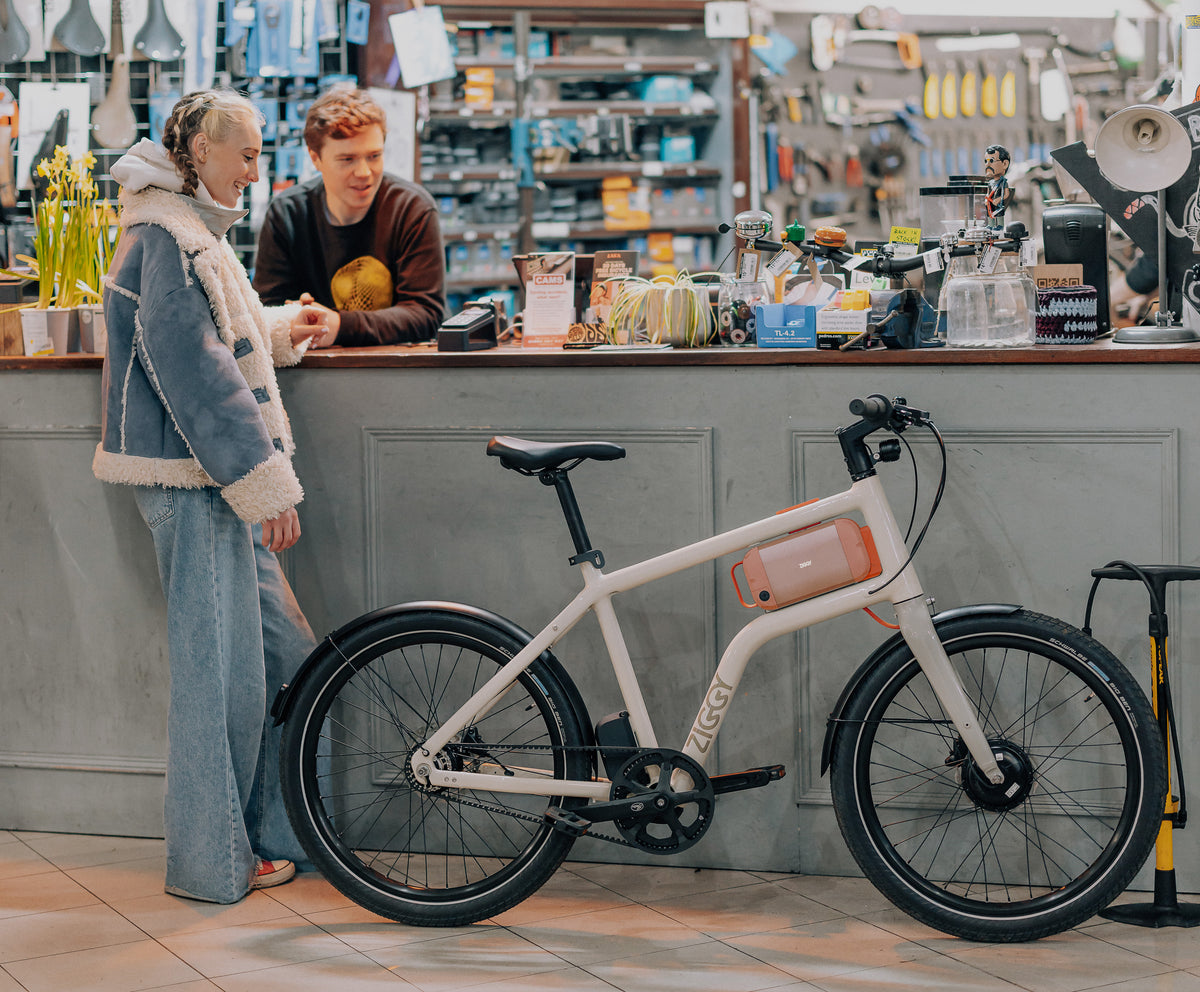 Ziggy | The e-bike built for big cities